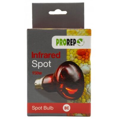ProRep Infrared lamp 150w BC (Bayonet) - Planted Terraria Exotics