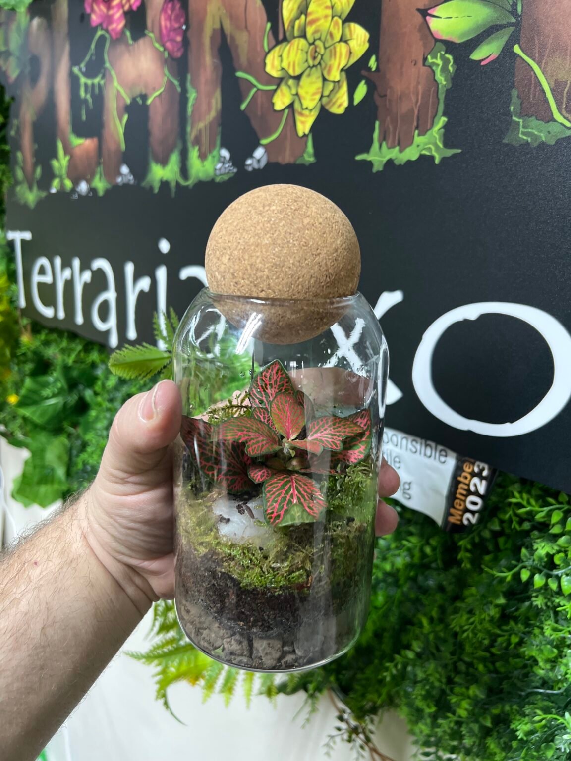 Pre Built Terrarium With Cork Ball - Planted Terraria Exotics